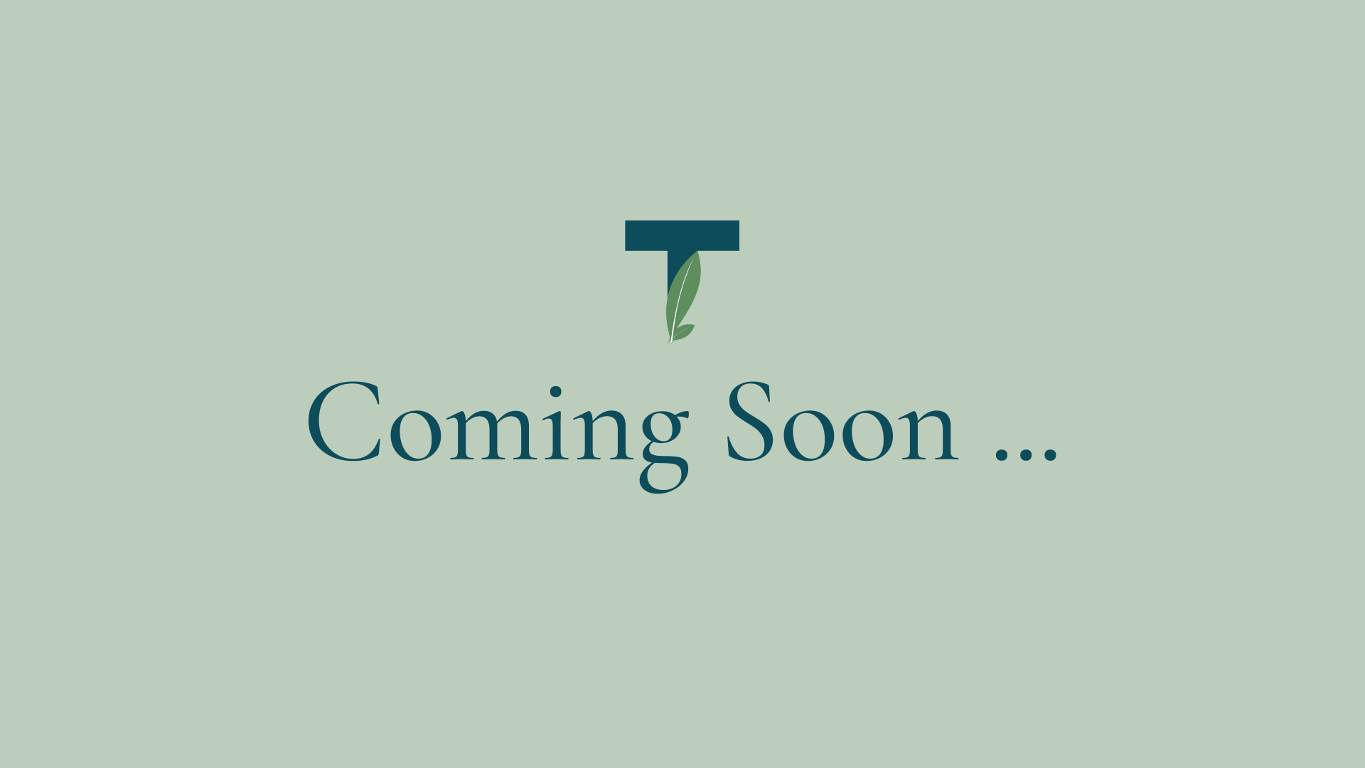 coming soon – The Tea Leaf Center